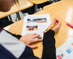 Builds foundational English language and literacy skills through four ...